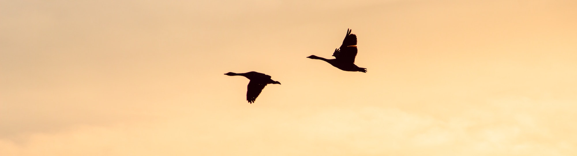 Migrating Net Framework Applications To Net Core Part 2 Jayden Meyer